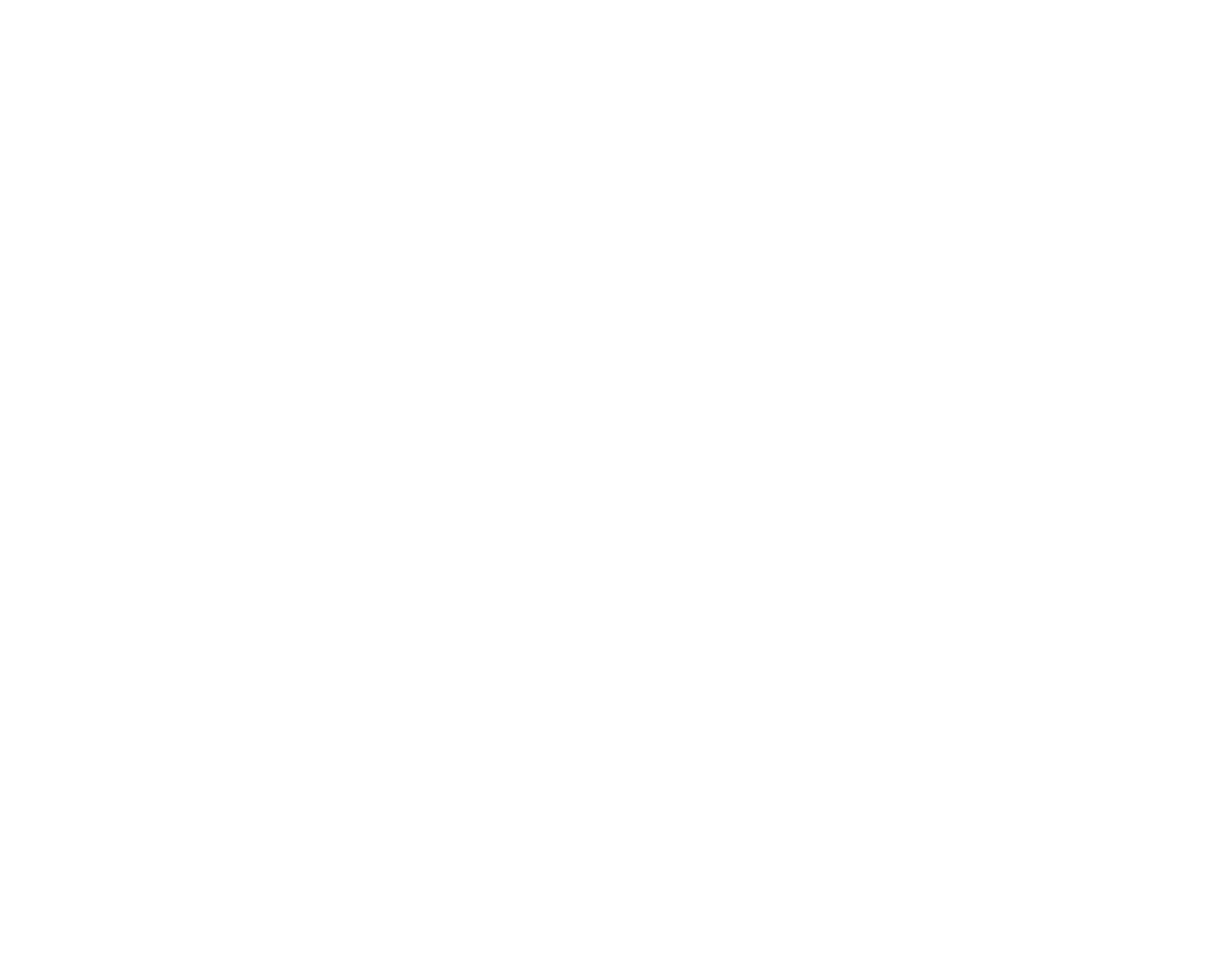 Rozzi Drone Logo V3 WHITE | Rozzi Fireworks